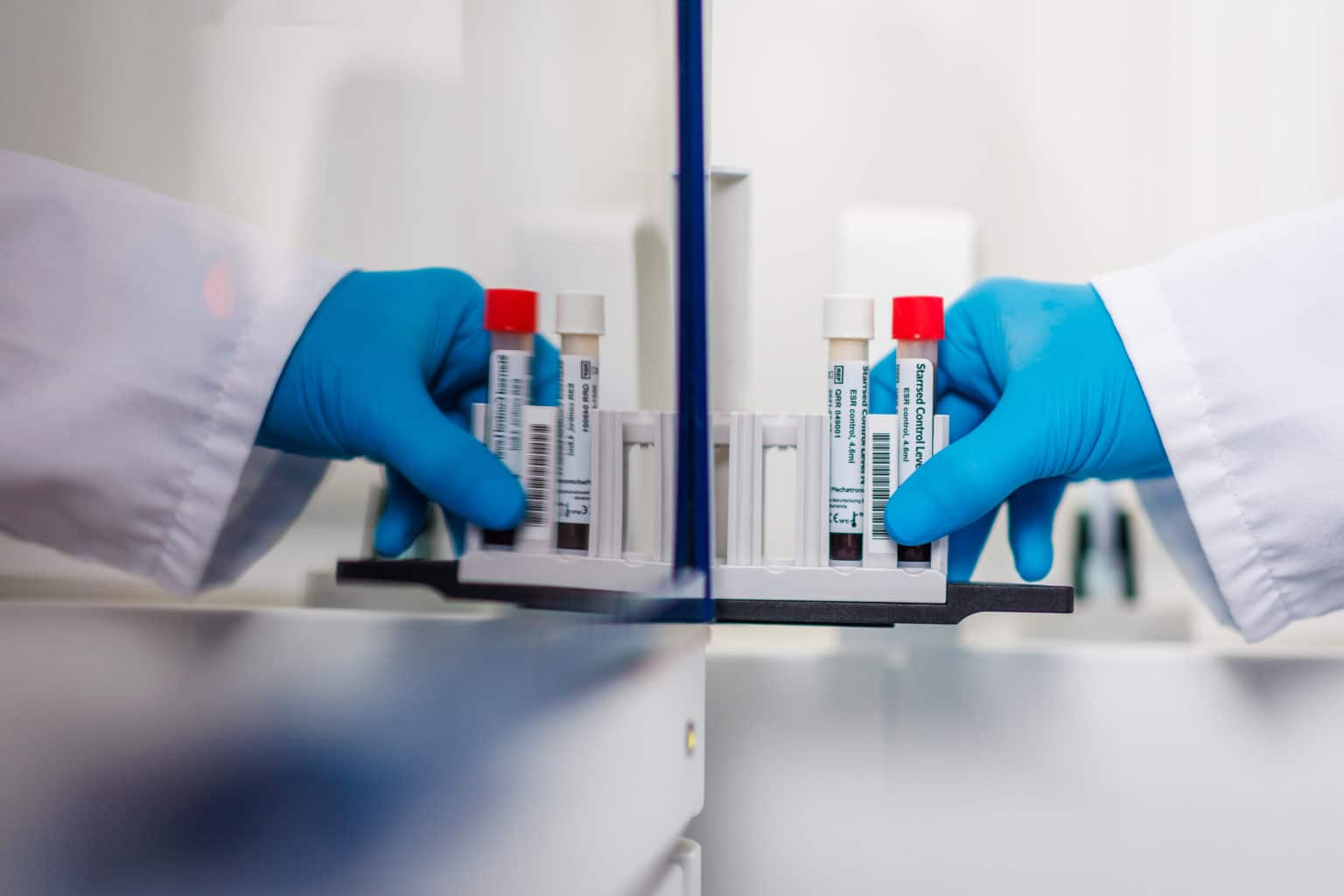 Starrsed - RR Mechatronics