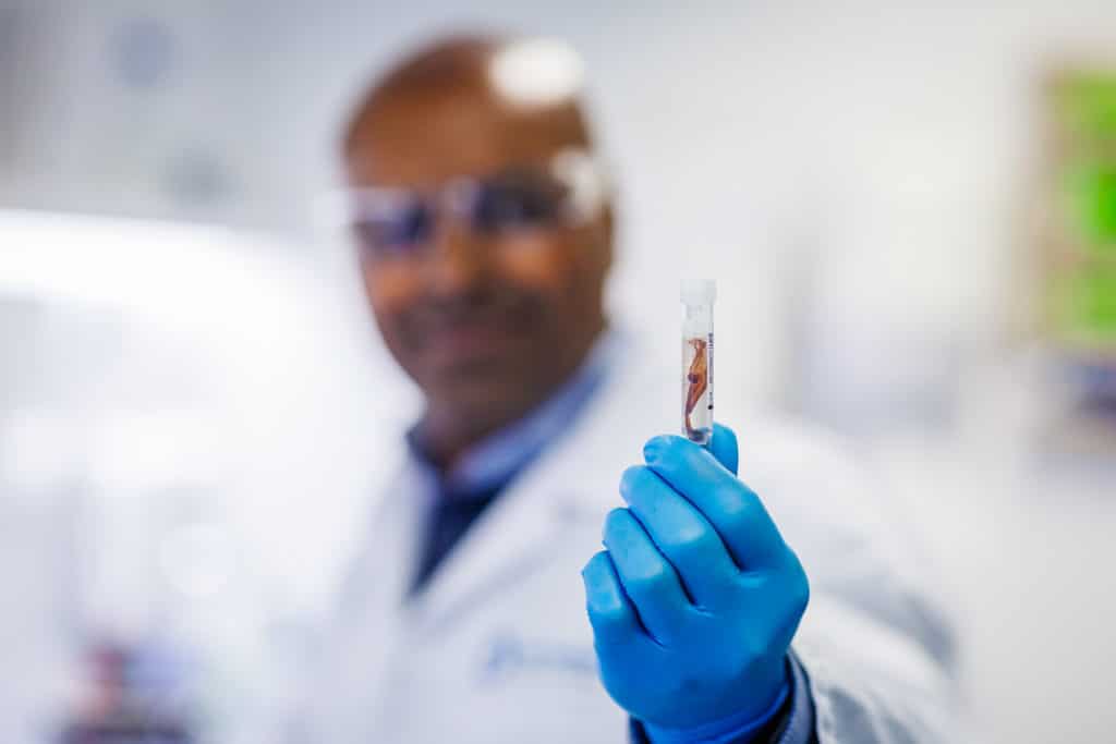 RR Mechatronics - Home