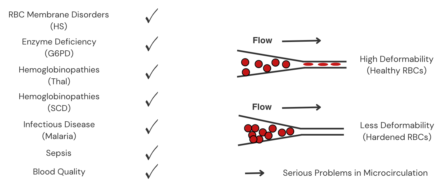 lorrcademo - RR Mechatronics